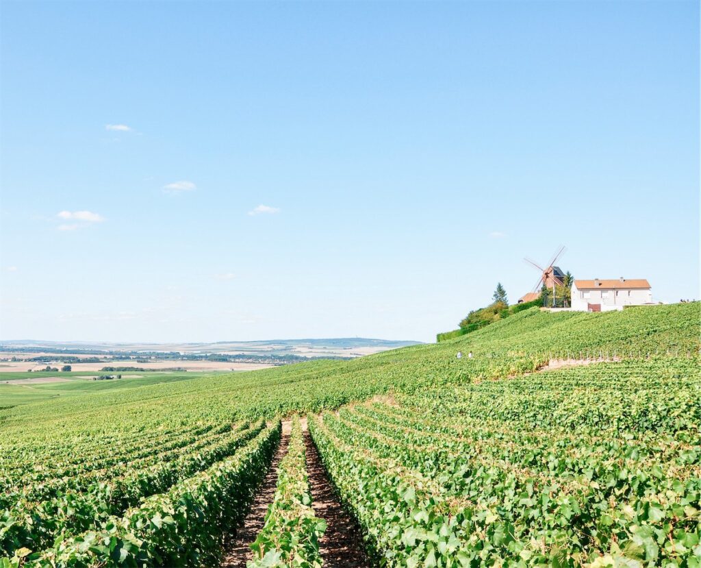 Mazan: Unveiling the Hidden Gem of Côtes du Ventoux Wine Culture - Miss ...