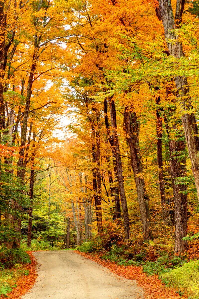 The Best Places to Visit in the Fall in the US (Leaf Peeping & Pumpkin ...