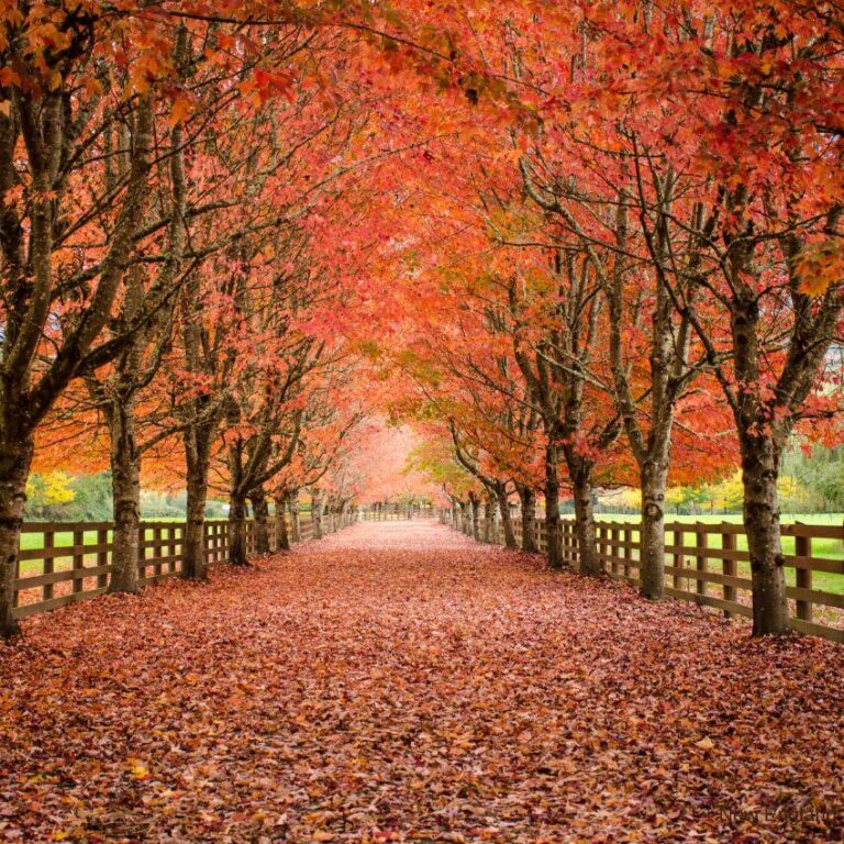 Romantic Fall Getaways: The Best Places to Cozy Up with Your Love This ...